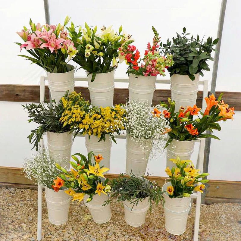Flower Bar Display Stands - Etsy