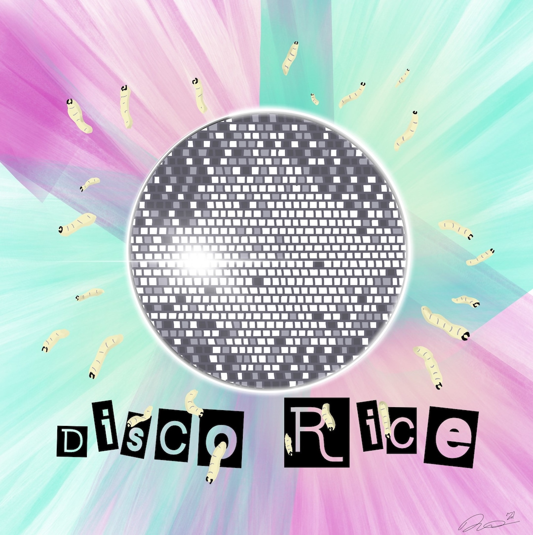Disco Rice Sticker Matte Finish Maggots - Etsy