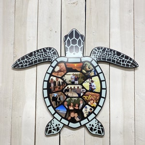 Sea Turtle Photo Collage, Photo Board, Turtle Decor, Tropical Decor ...