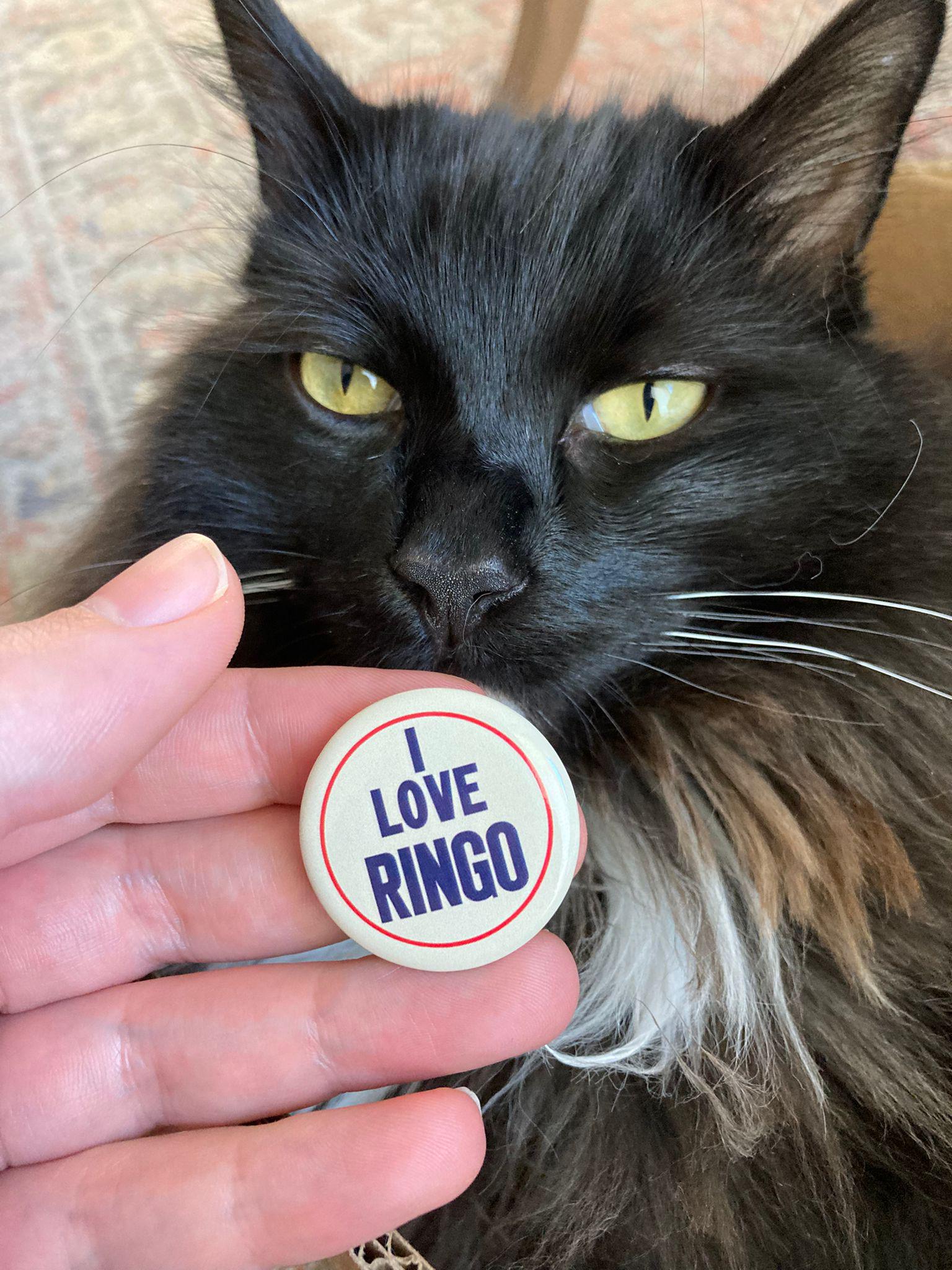 The Beatles I Love Ringo Pinback Button Badge - Etsy
