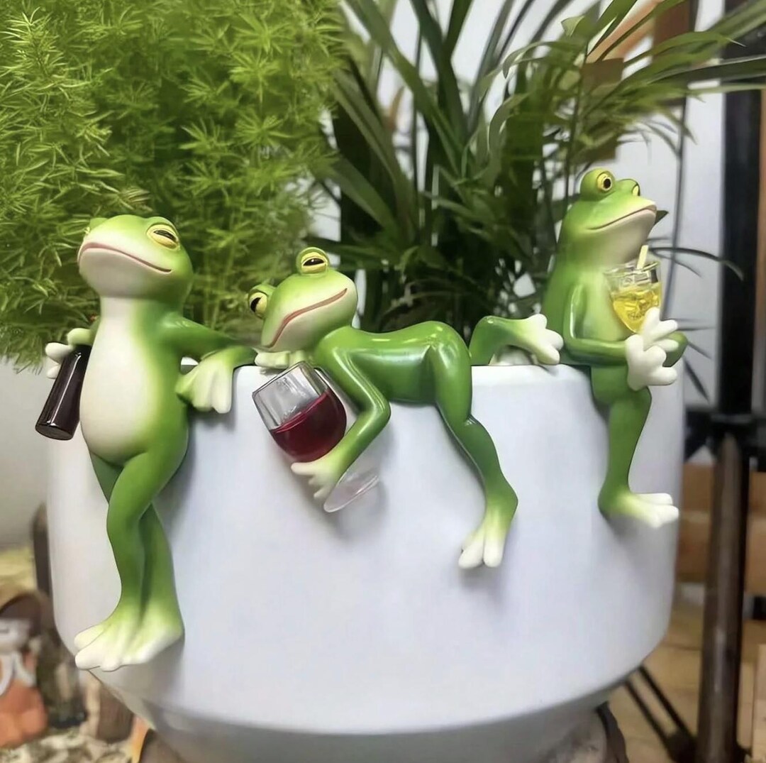 Funny Drunk Frog Flower Pot Hanger – Set of 3 Cute Garden Frogs ...