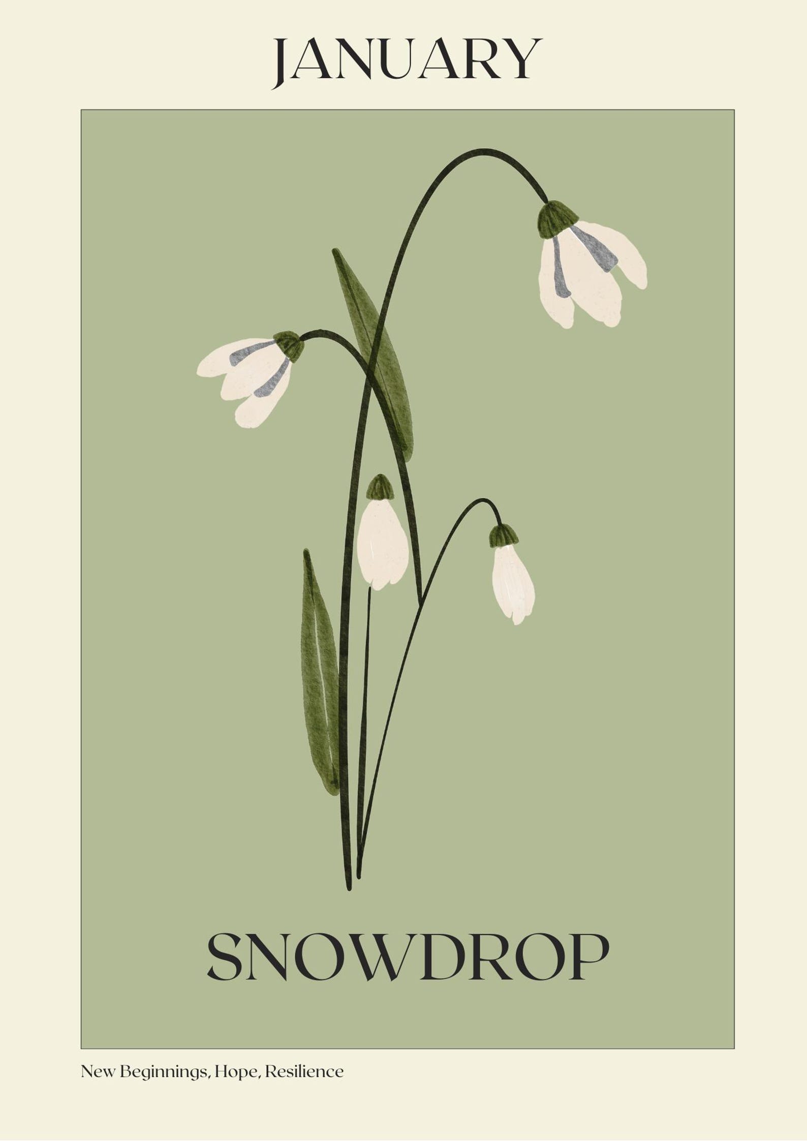 January Birth Month Floral Print Snowdrop - Etsy