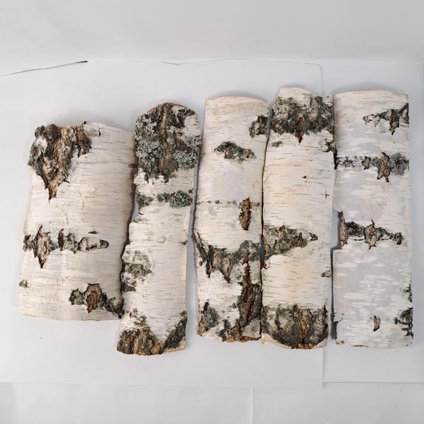 Birch Bark Strips - Etsy