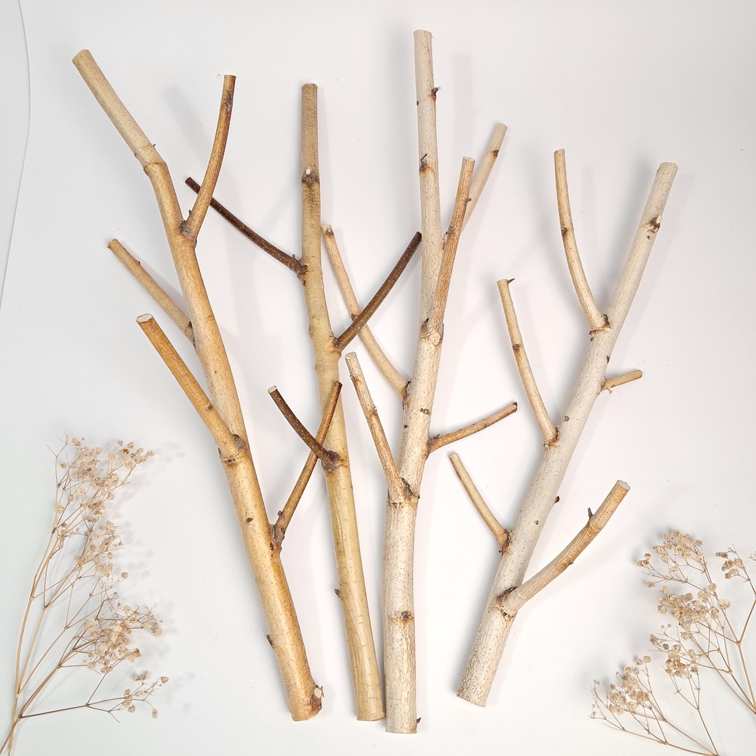 Natural Birch Branches for Craft and Home Decor - Etsy