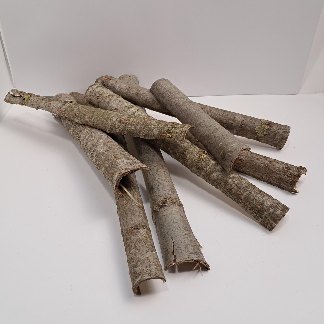 Natural Aspen Bark for Crafts and Decor: Dried Tree Bark, Rustic ...