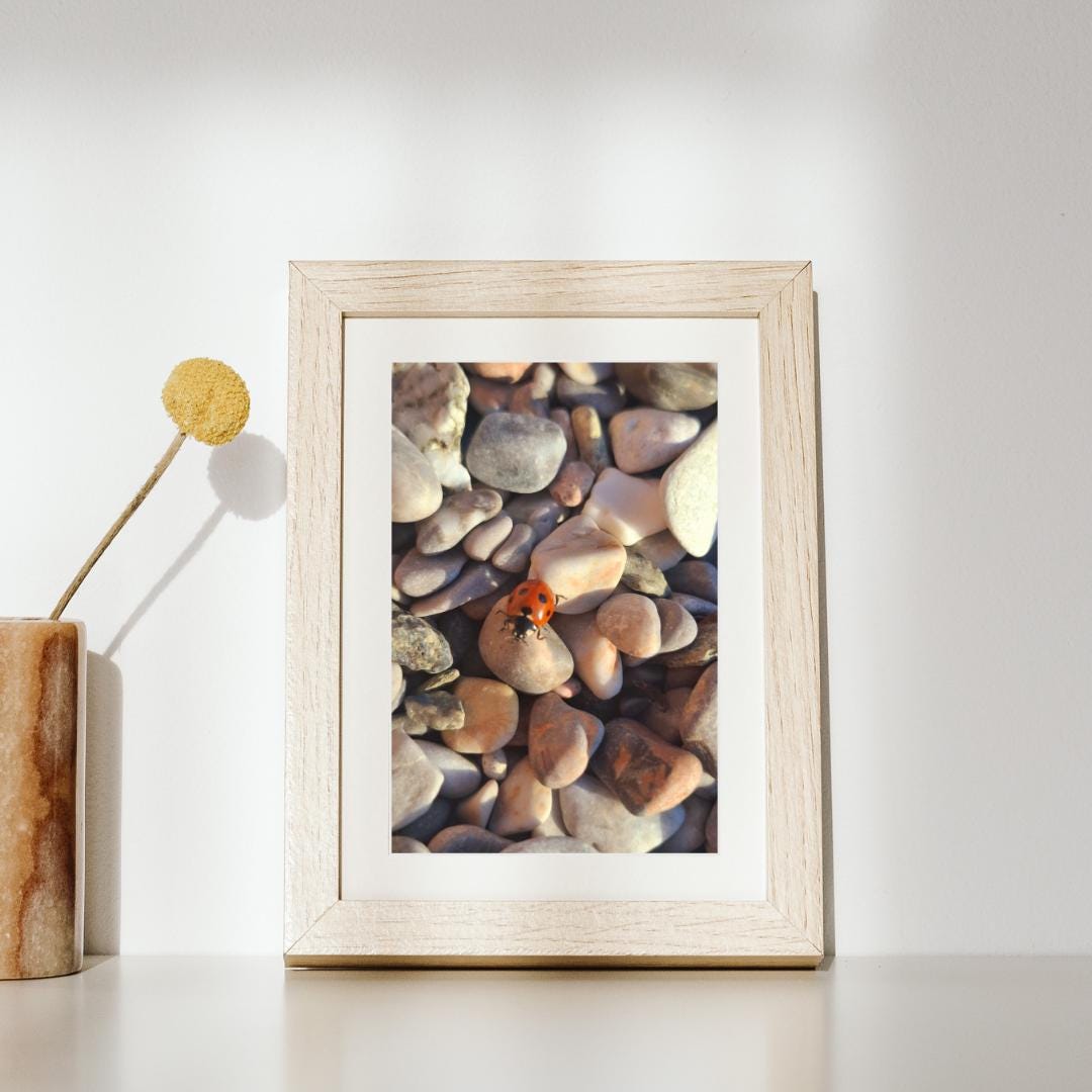 Ladybug on Pebbles Printable Art- Minimal Nature Wall Decor- Lucky Bug ...