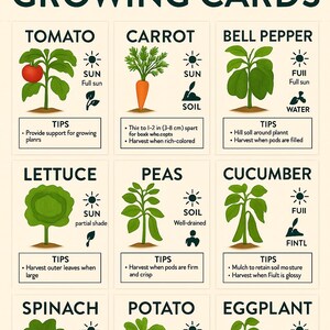 10 Essential Vegetable Growing Cards – Printable Gardening Guide ...