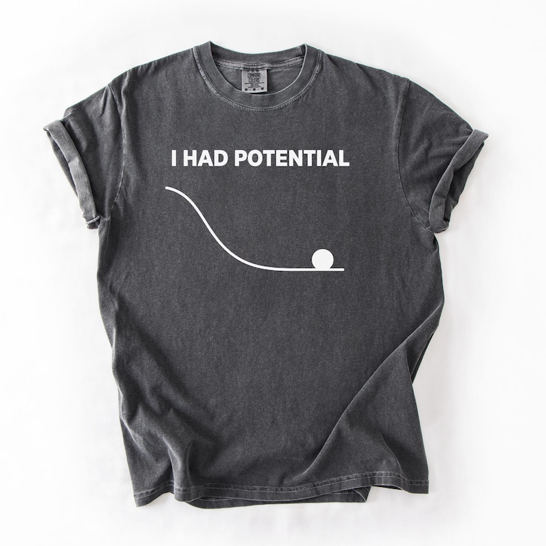 Comfort Colors Project Hail Mary Grace Shirt, I Had Potential Tee ...