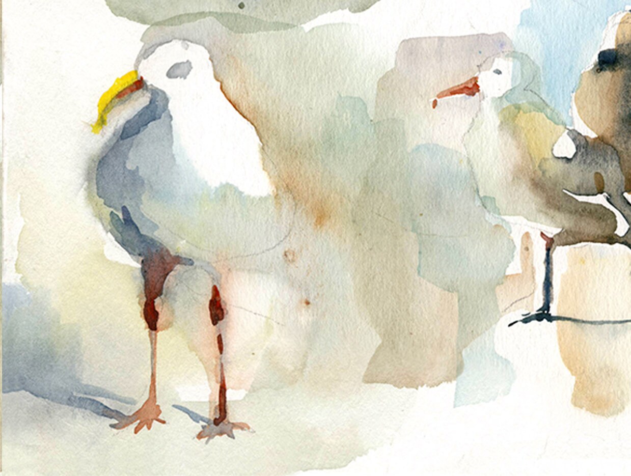 Beach Gathering. Seagulls. Watercolor Painting of Seagulls. Giclee ...
