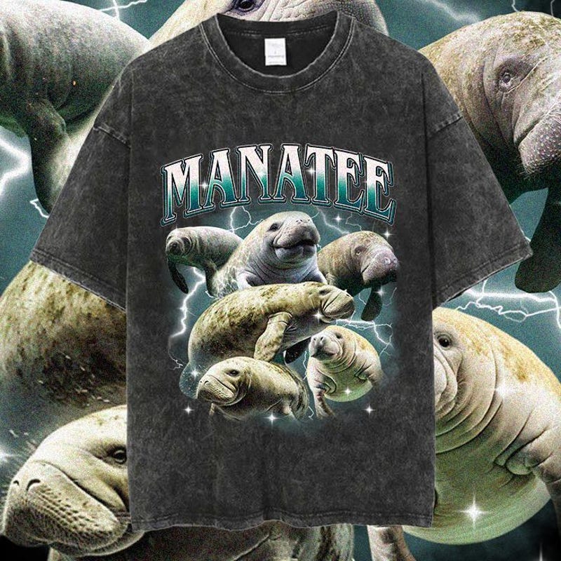 Manatee T Shirt - Etsy