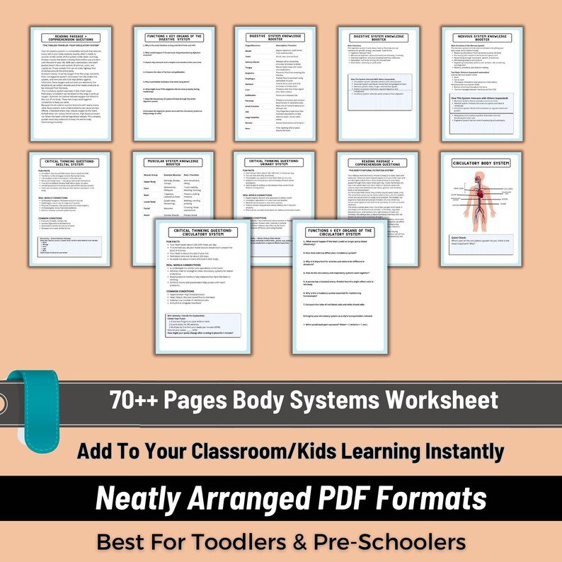 Human Body Systems Worksheets Bundle,anatomy Printables,science ...