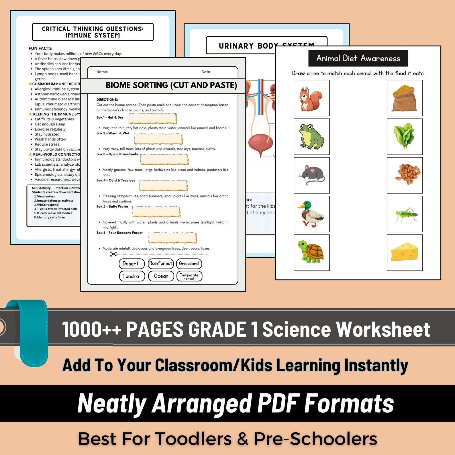 Grade 1 Science Worksheet Bundle,1000+ Pages,earth, Materials, Plants ...