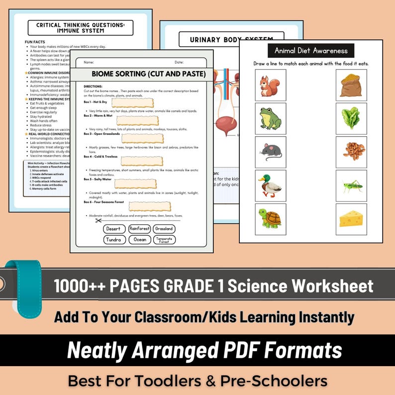 Grade 1 Science Worksheet Bundle,1000+ Pages,earth, Materials, Plants ...