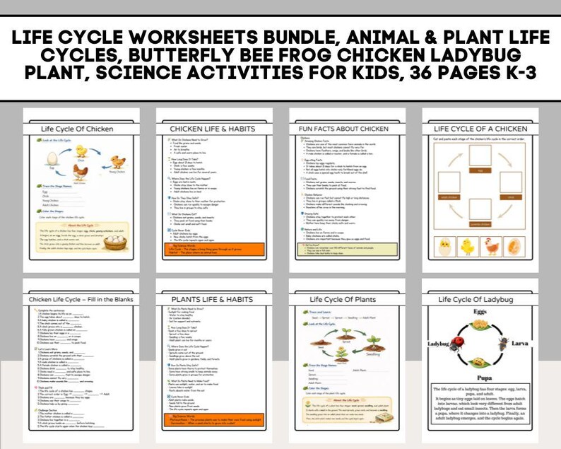 Life Cycle Worksheets Bundle, Animal & Plant Life Cycles, Butterfly Bee ...
