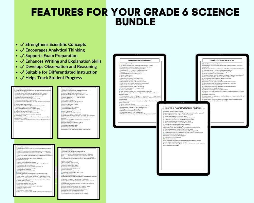Grade 6 Science Worksheets Bundle | Full Year Curriculum | 31 Chapters ...