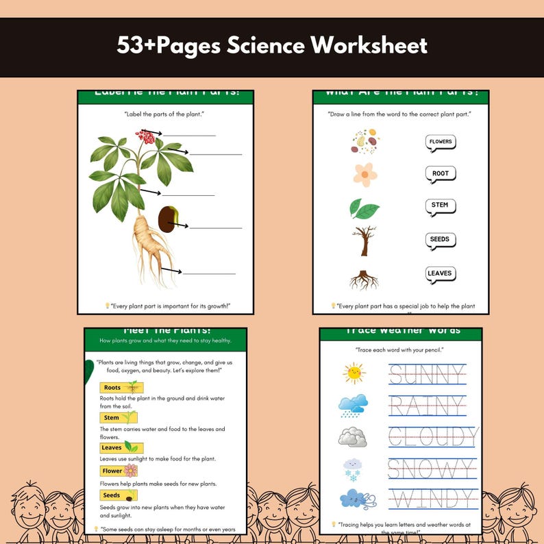 53+pages Science Worksheets for Kindergarten Homeschool,science ...