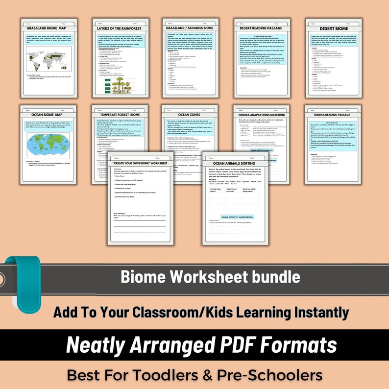 Biomes Worksheet,stem Learning Bundle,oceans,biome Activities,geography ...
