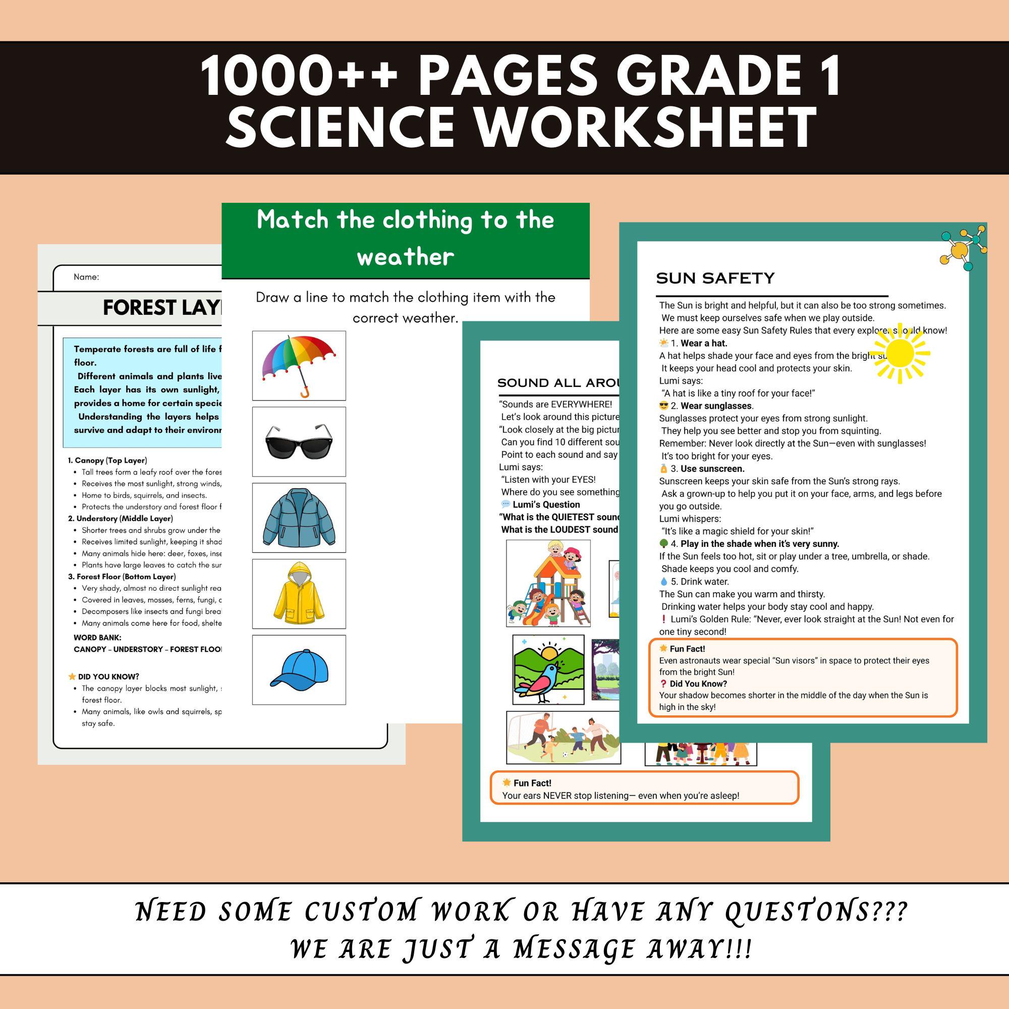 Grade 1 Science Worksheet Bundle,1000+ Pages,earth, Materials, Plants ...