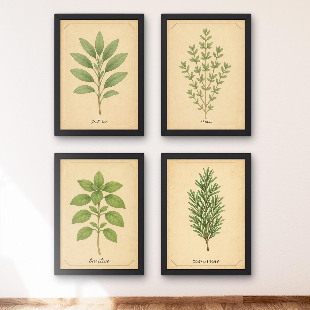 Set of 4 Digital Herb Posters – Rosemary, Sage, Thyme, Basil ...