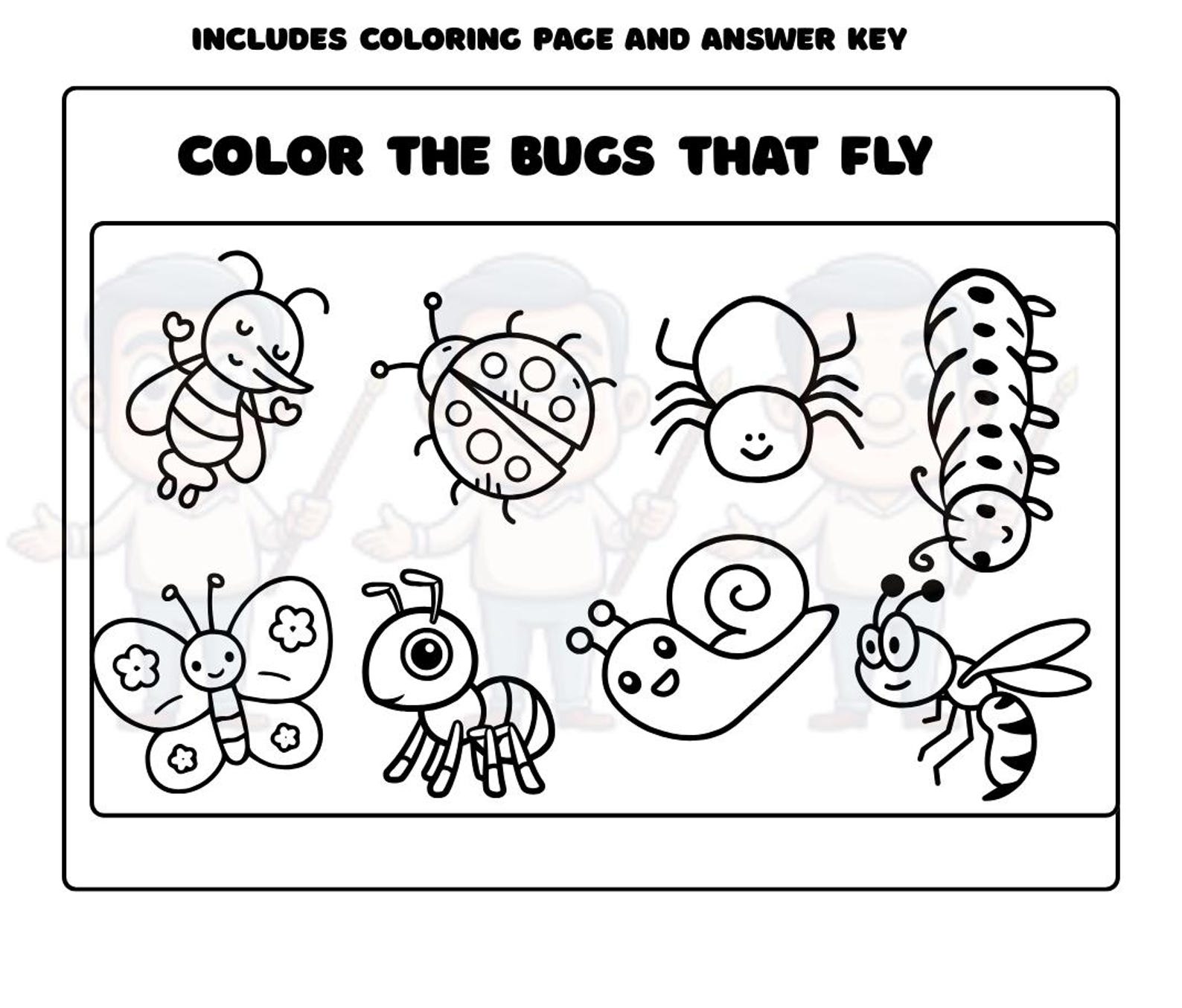 Bug and Insect Activities Packet - Movement Sort, Coloring Pages ...