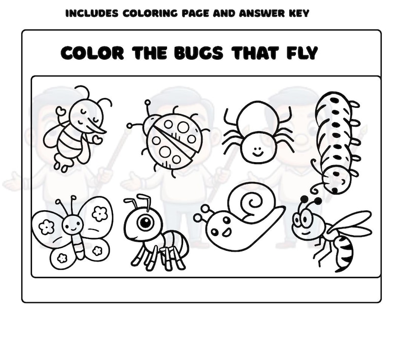 Bug and Insect Activities Packet - Movement Sort, Coloring Pages ...