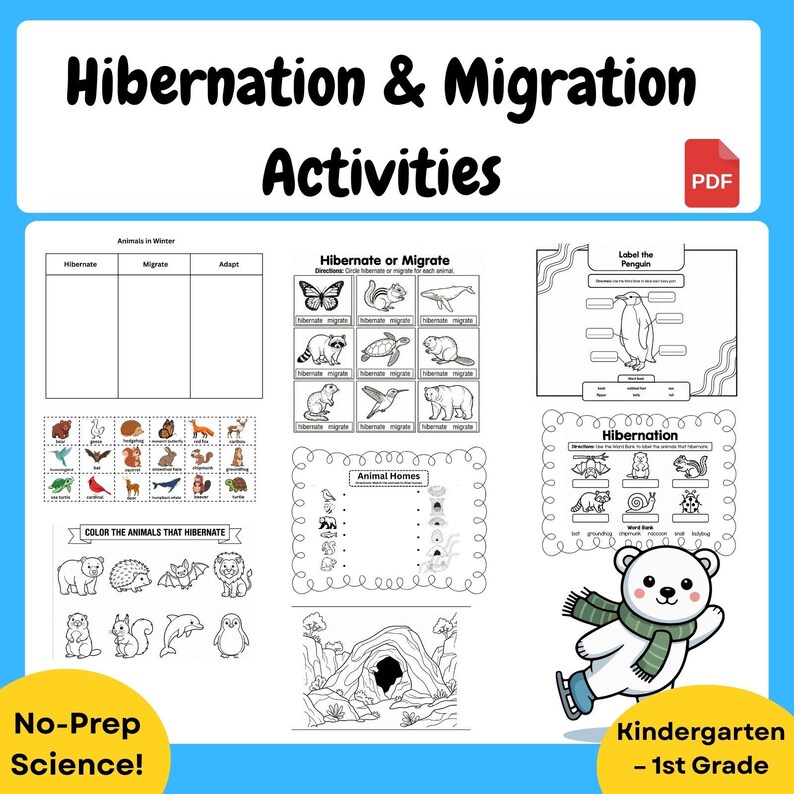 Animals in Winter Sorting: Hibernation, Migration & Adaptation | No ...