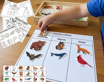 Animals in Winter Sorting: Hibernation, Migration & Adaptation | No ...