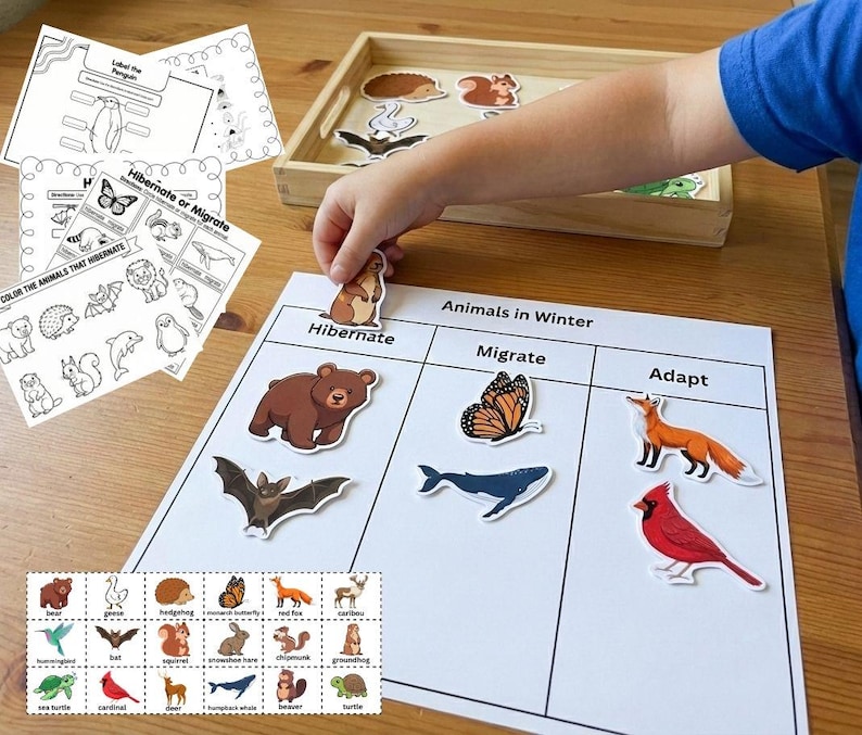 Animals in Winter Sorting: Hibernation, Migration & Adaptation | No ...