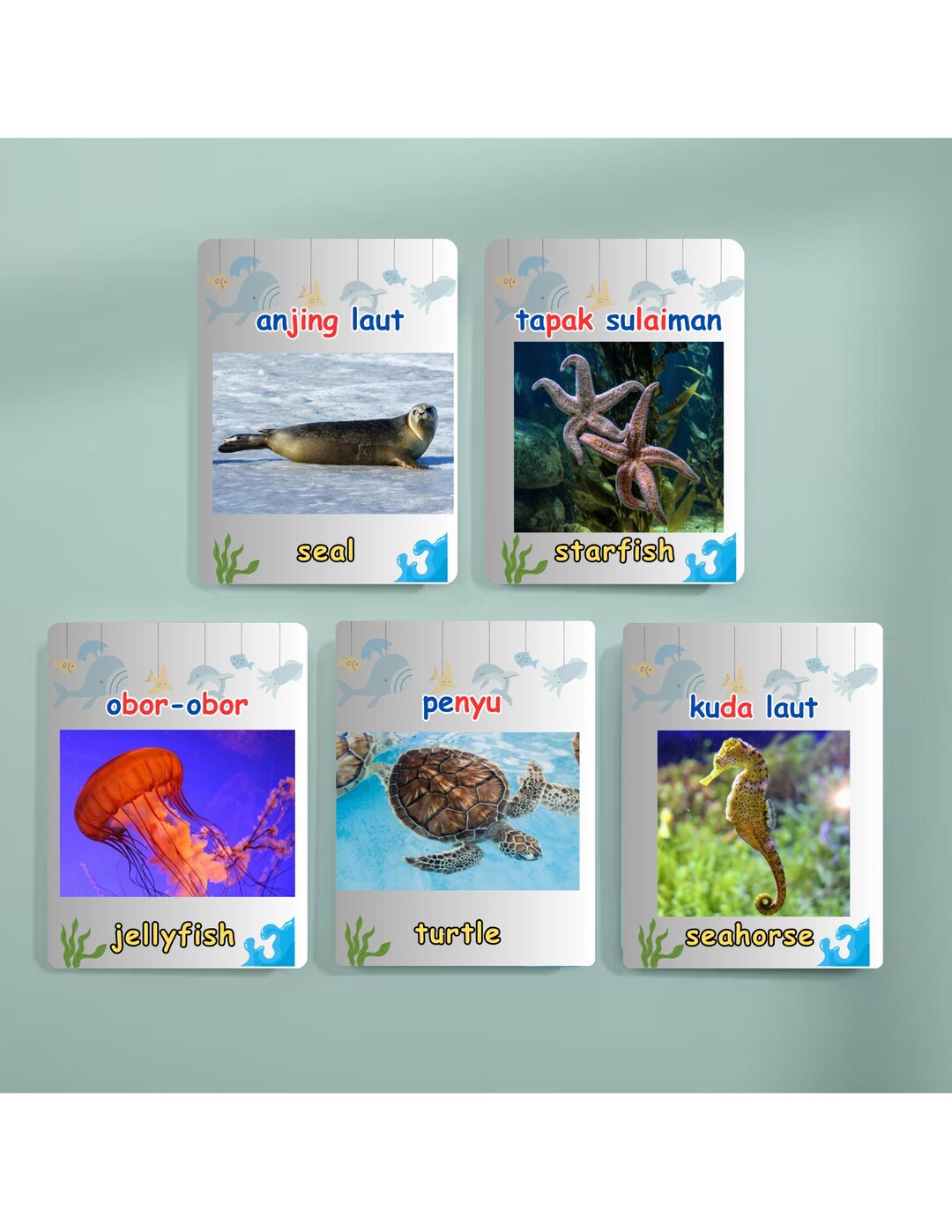 Sea Animal Flashcards: Ocean Creatures Learning Cards (PDF Instant ...
