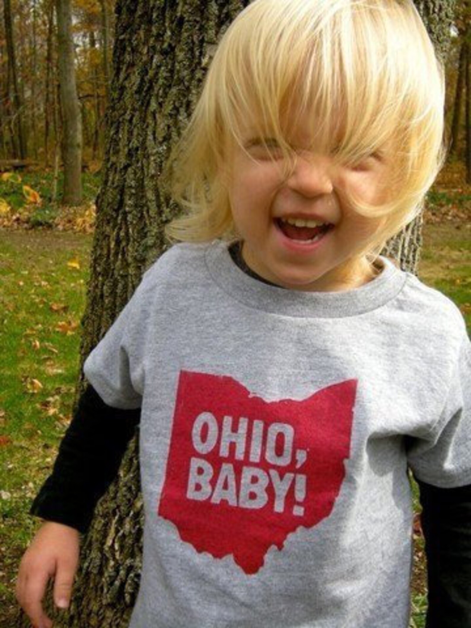 Gray OHIO, BABY Toddler Shirt/baby Bodysuit - Etsy