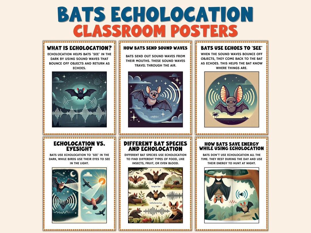 Bats Echolocation Posters | Bat Science Classroom Decor | Halloween ...