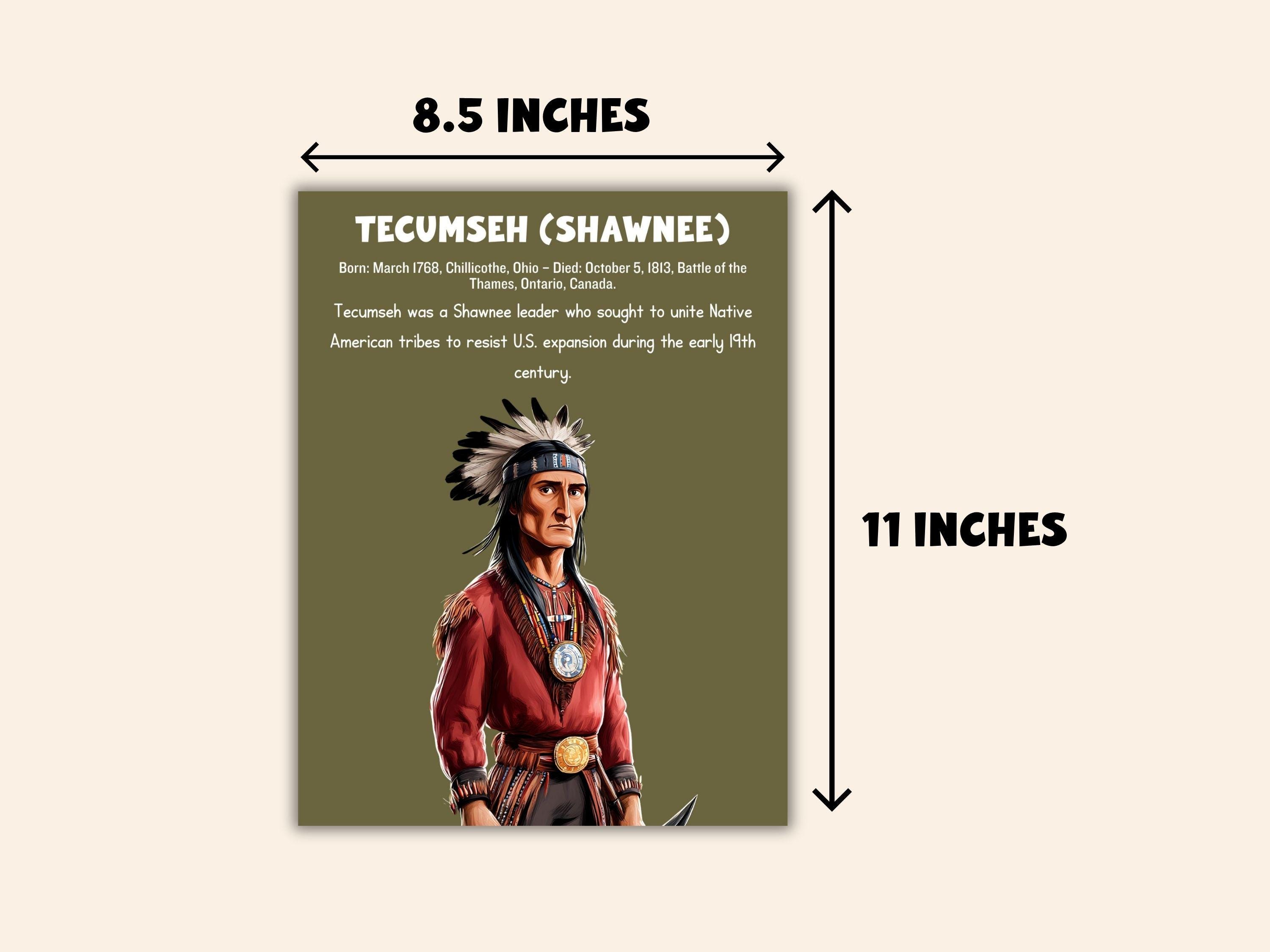 54 Native American Biography Posters | Heritage Month Decor ...