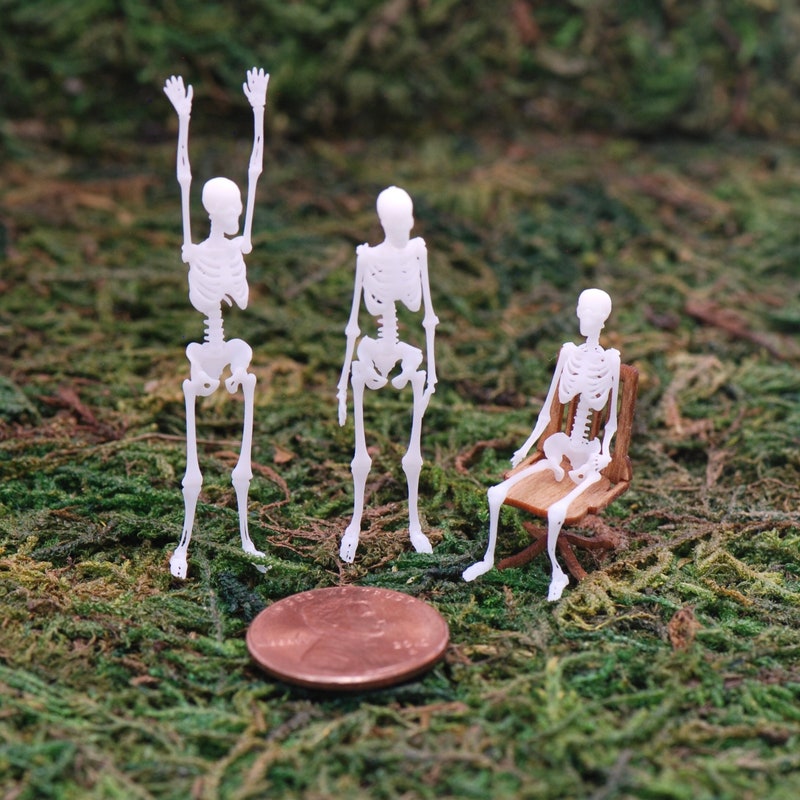 Tiny Skeleton - Etsy
