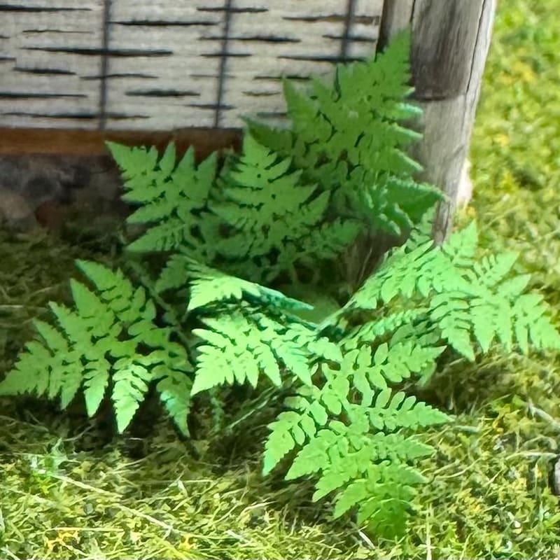 Miniature Ferns - Etsy
