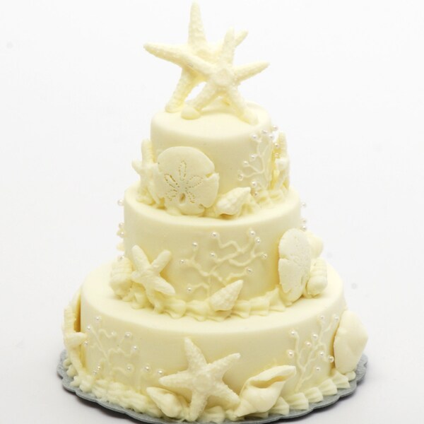 Seashell Cake - Etsy