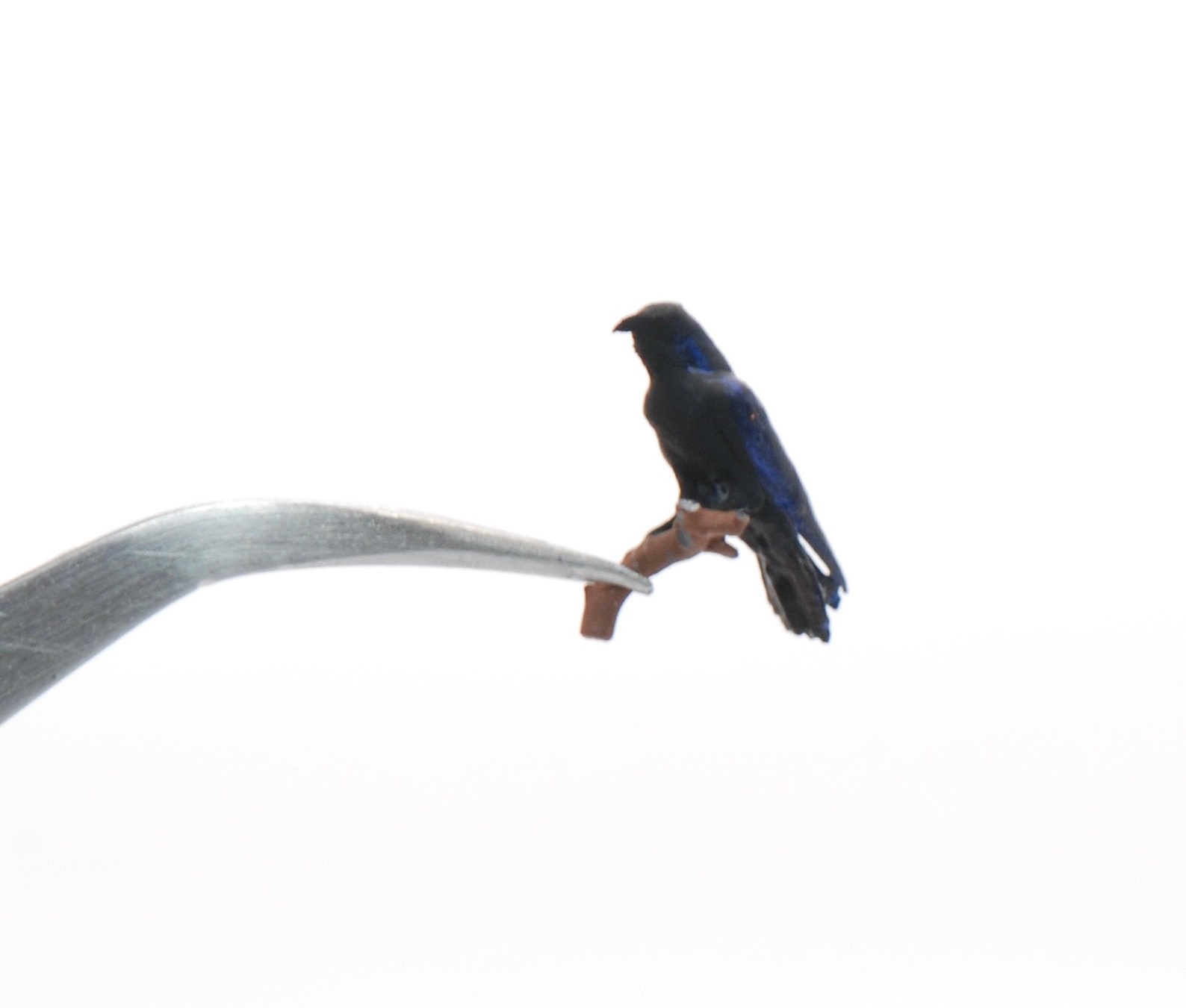 1:48 Ravens Kit Set of 2 NEW - Etsy