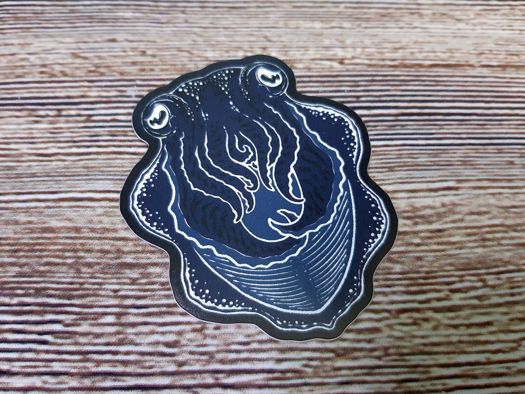 Cuttlefish Sticker for Water Bottle, Cephalopod Stickers for Laptop ...
