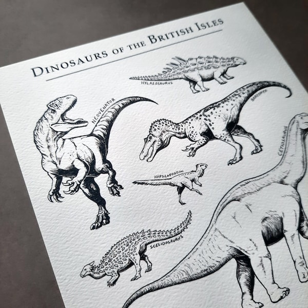 Spinosaurus Print - Etsy Canada