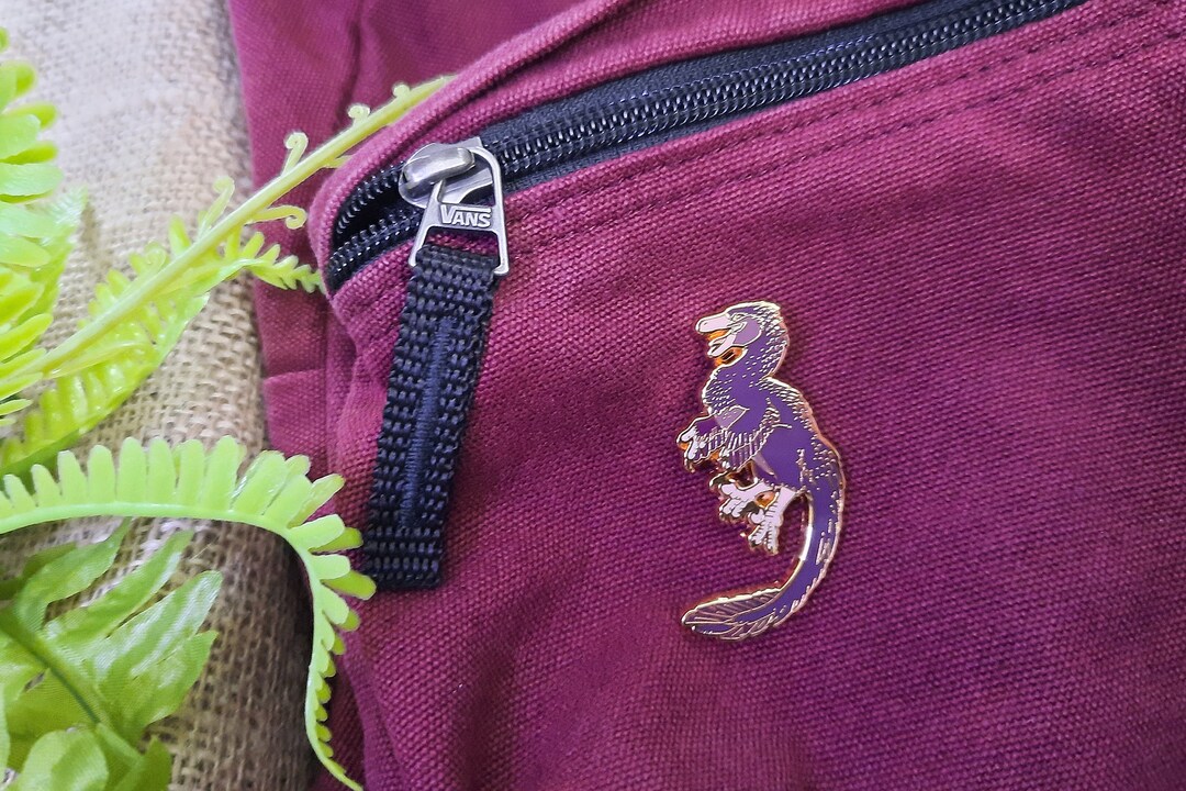 Velociraptor Enamel Pin, Feathered Dinosaur Pin Badge, Dinosaur Gift ...