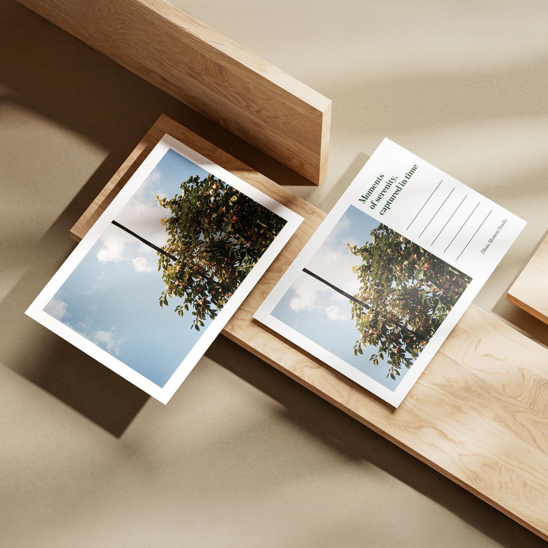 Persimmon Tree Art Card – Printable Fall Nature in Vintage Film ...