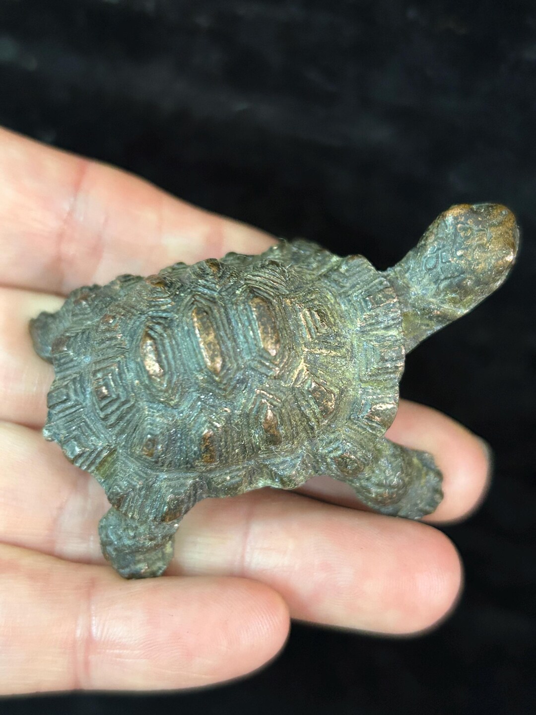 Exquisite Solid Brass Turtle Statues for Garden Decor, Figurine Dragon ...