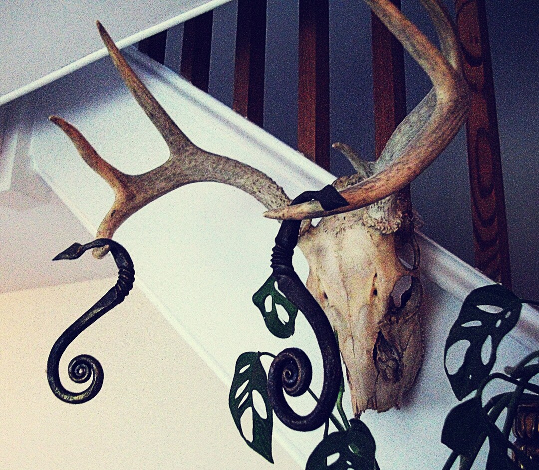 Hand Forged Dragon Tail and Scroll Hook Medieval Farm Kitchen - Etsy