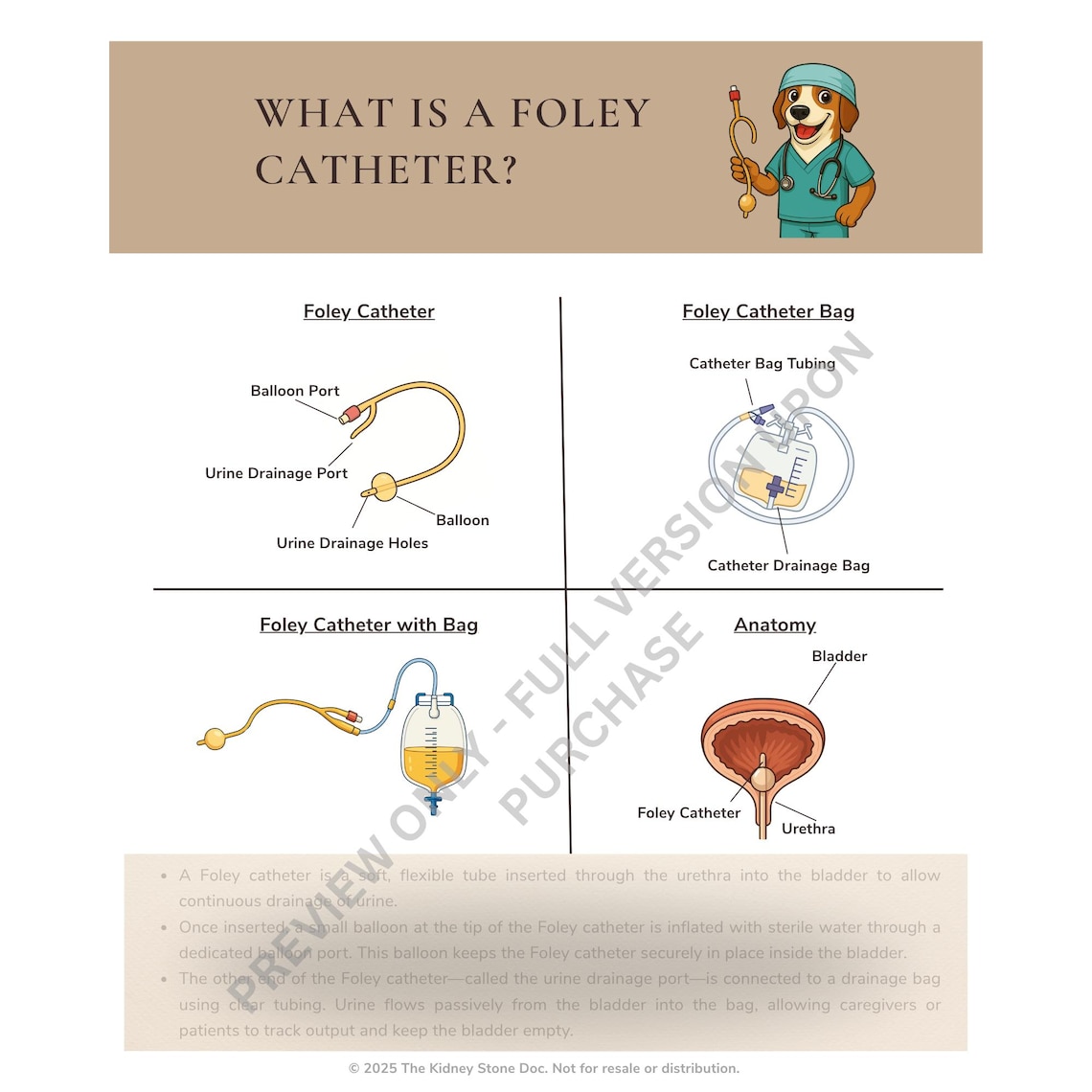 Foley Catheter Care Guide + Printable Catheter Diary - Written by a ...