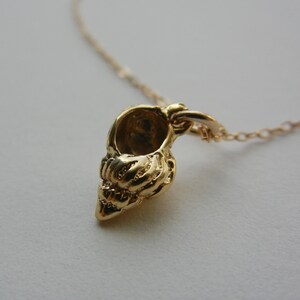 Tiny Shell Necklace (gold) - Etsy