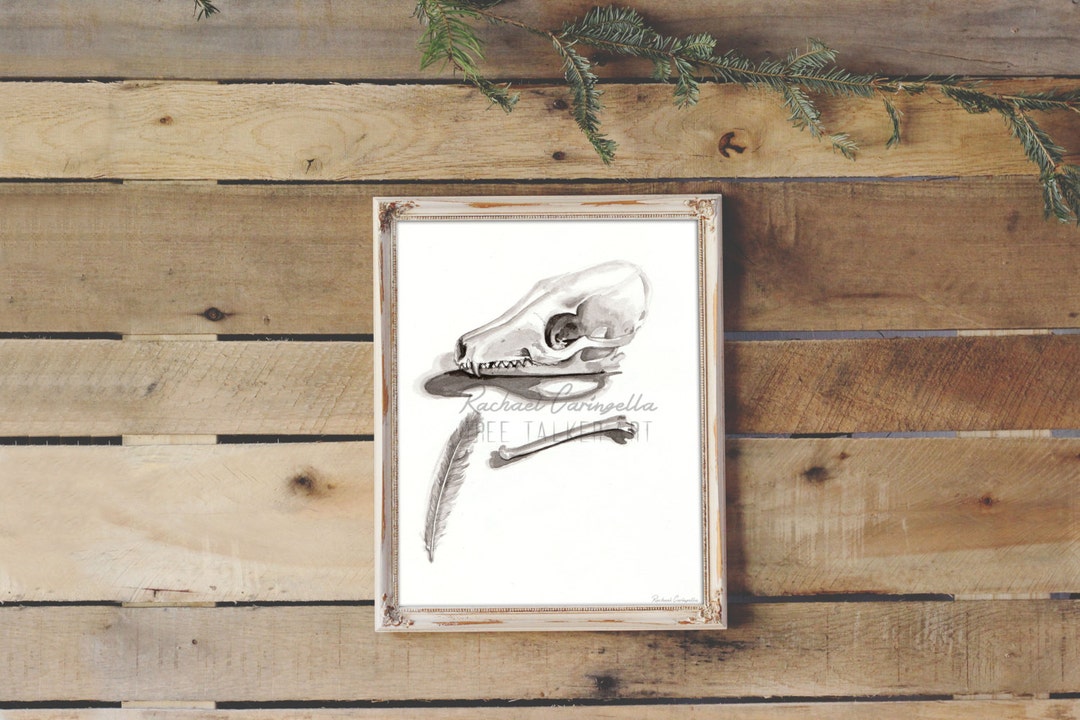Bone Collection Drawing- Giclee Fine Art Print - Pen and Ink ...
