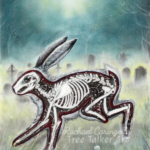 Lucky Rabbit's Foot Art - "lucky Bones" Small Fine Art Print - 5x7 ...