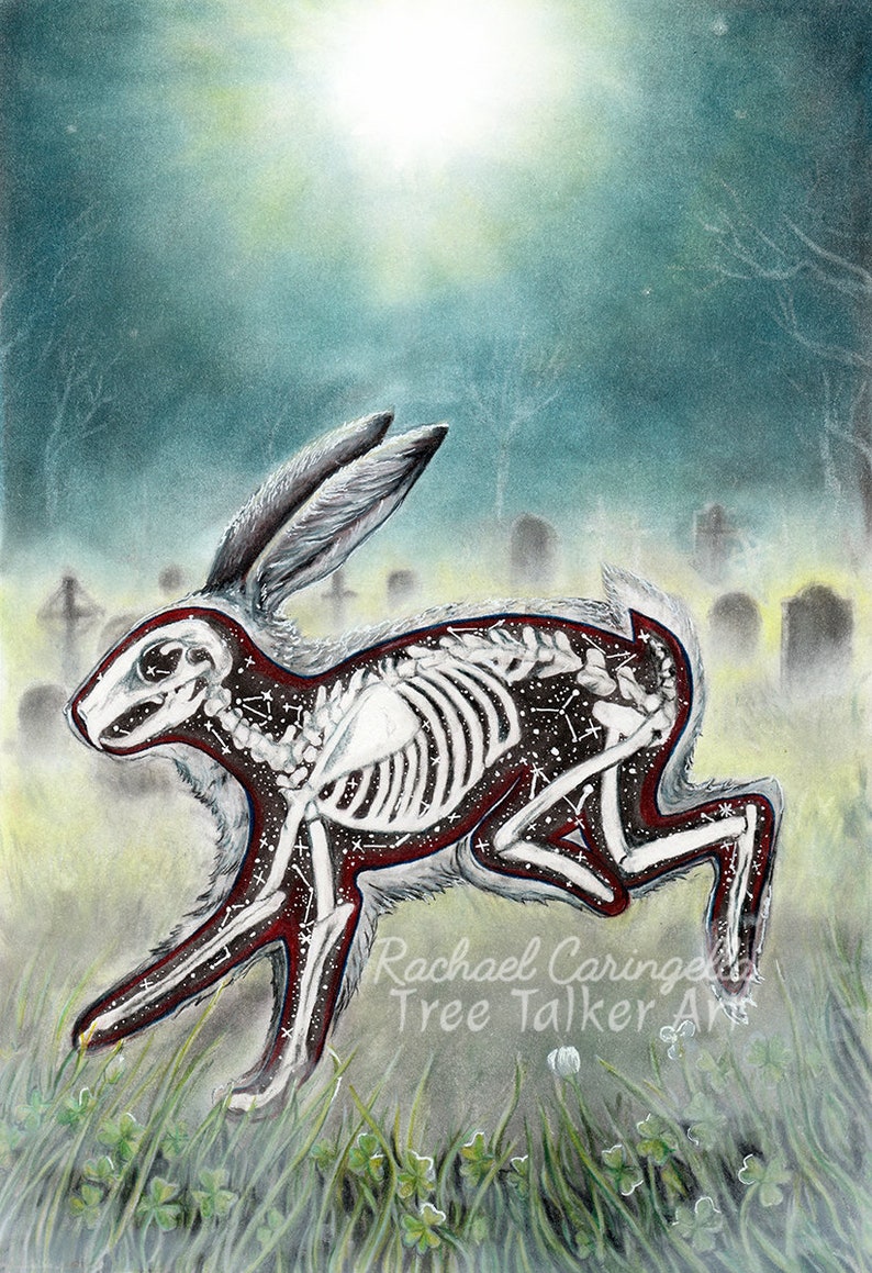 Lucky Rabbit's Foot Art lucky Bones Small - Etsy