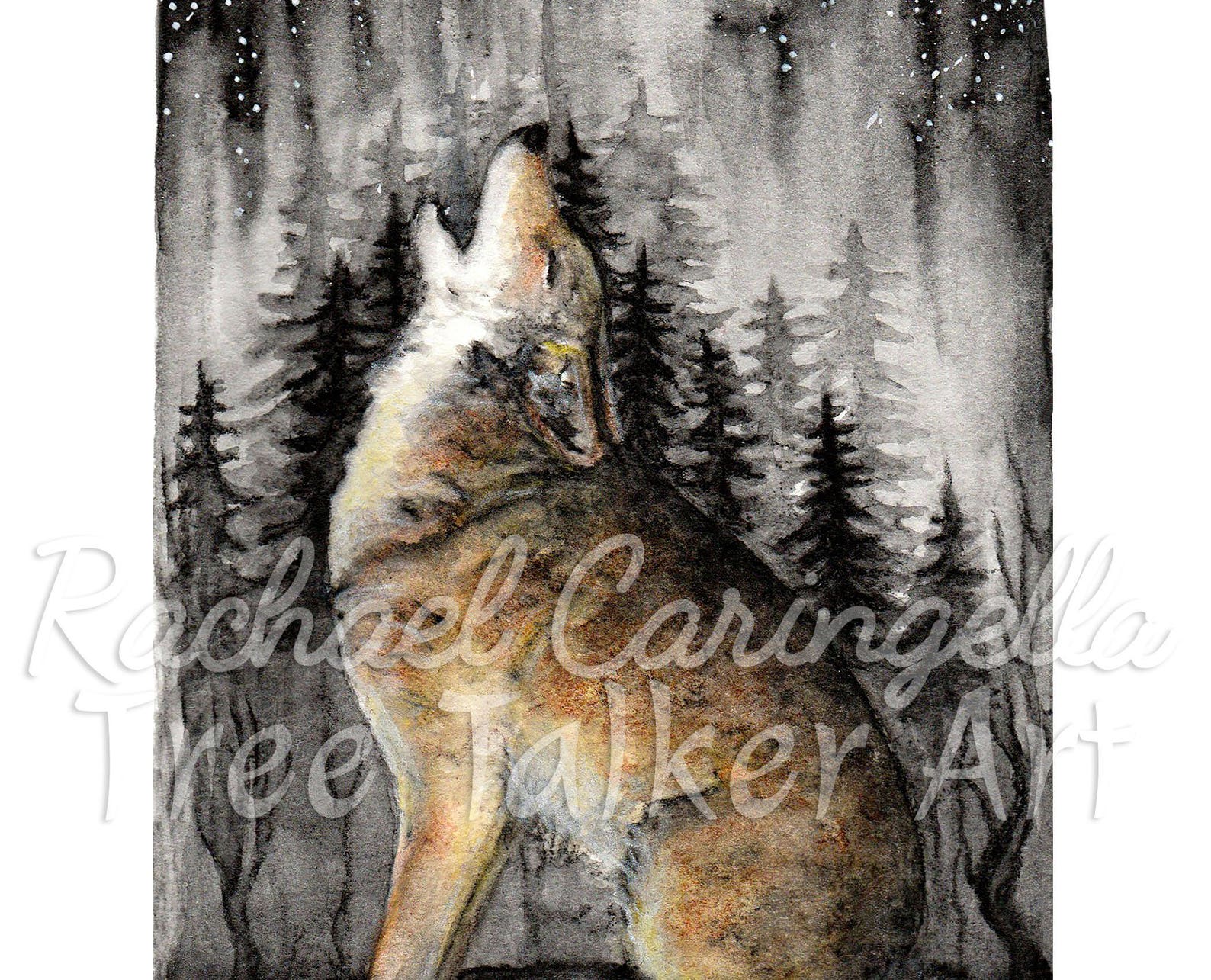 Coyote Howl Print Watercolor Coyote Art by Rachael - Etsy