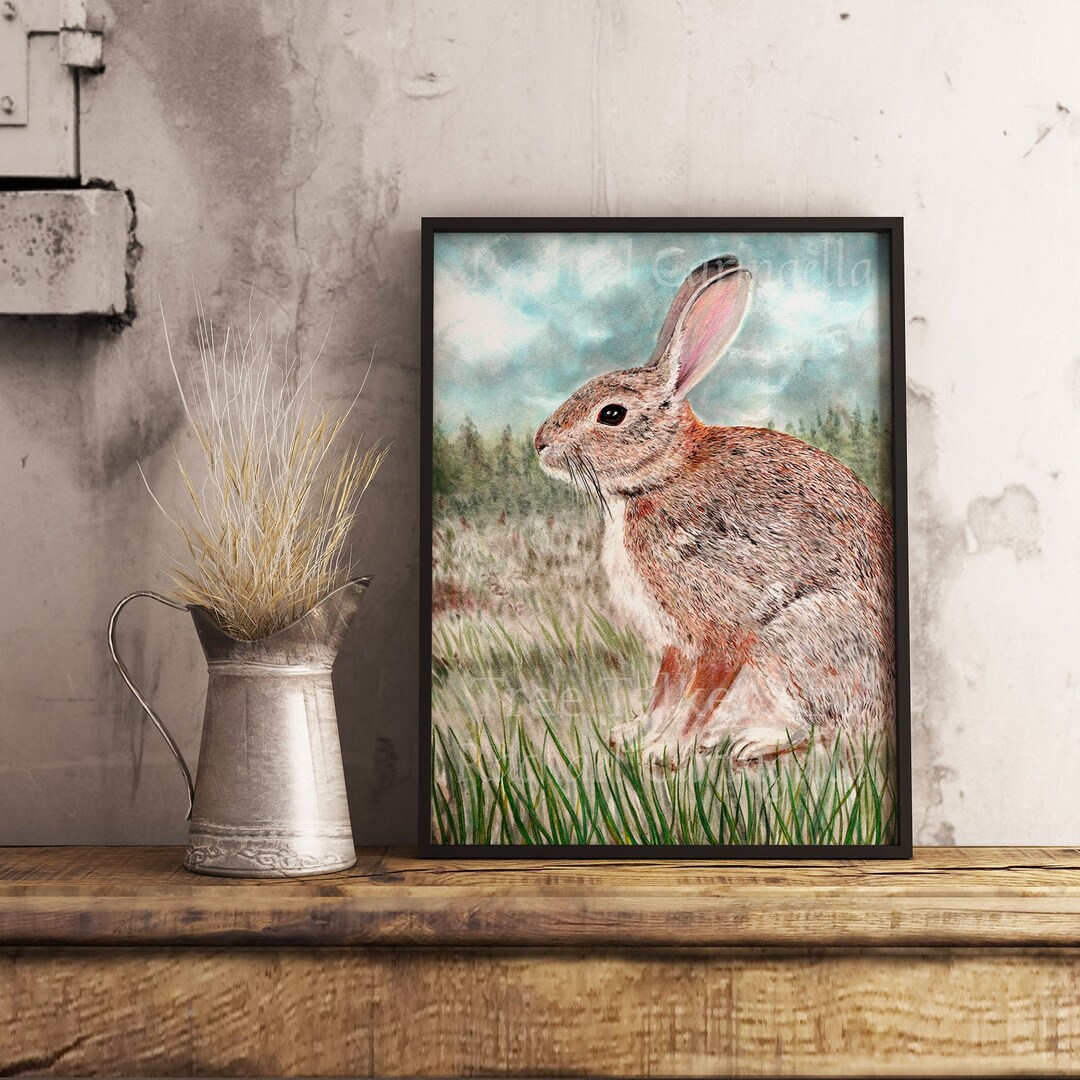 Cottontail Rabbit Art - Rabbit Illustration - Giclée Fine Art Print by ...