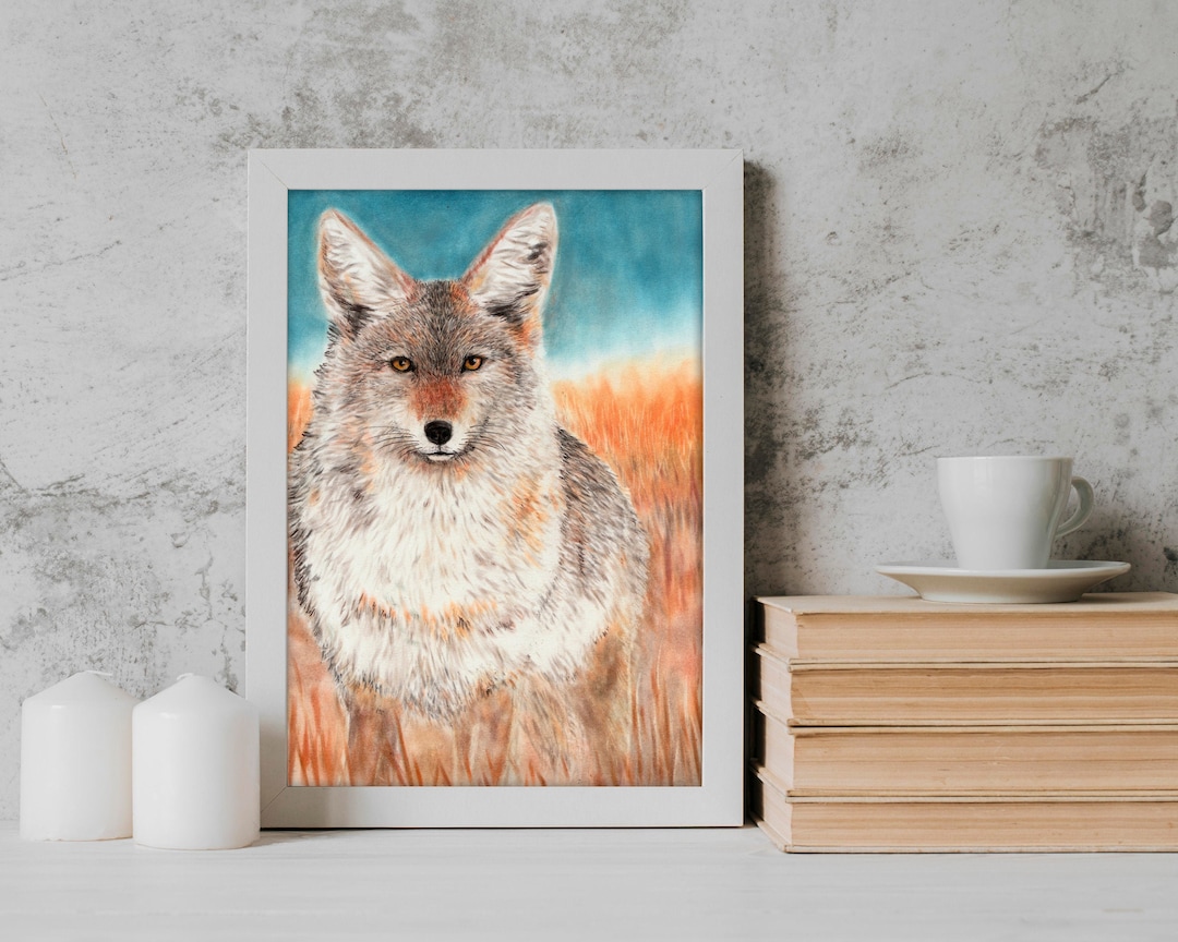 Coyote Art - Realistic Coyote Illustration - Giclée Fine Art Print by ...